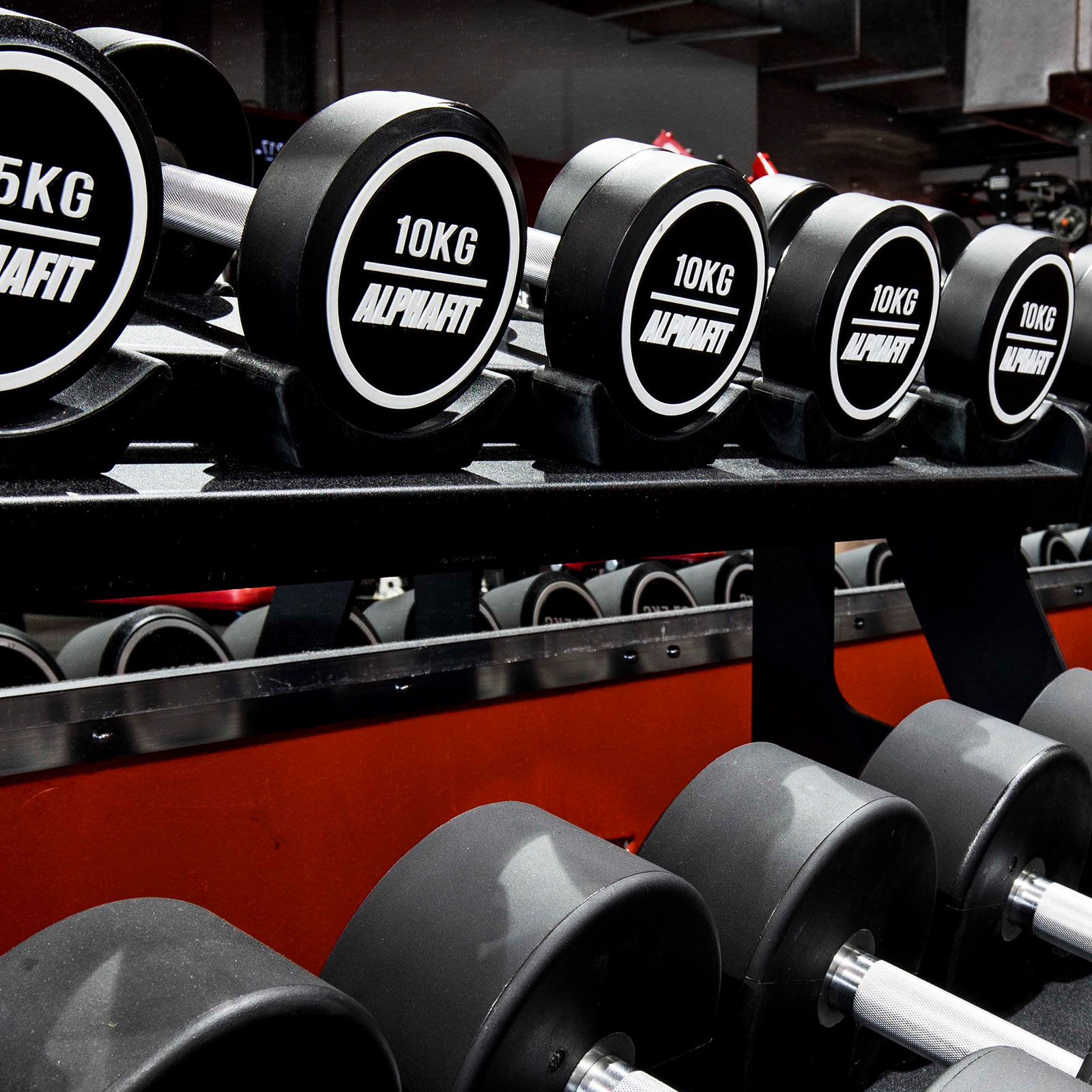 AlphaFit | Premium Strength & Conditioning Equipment